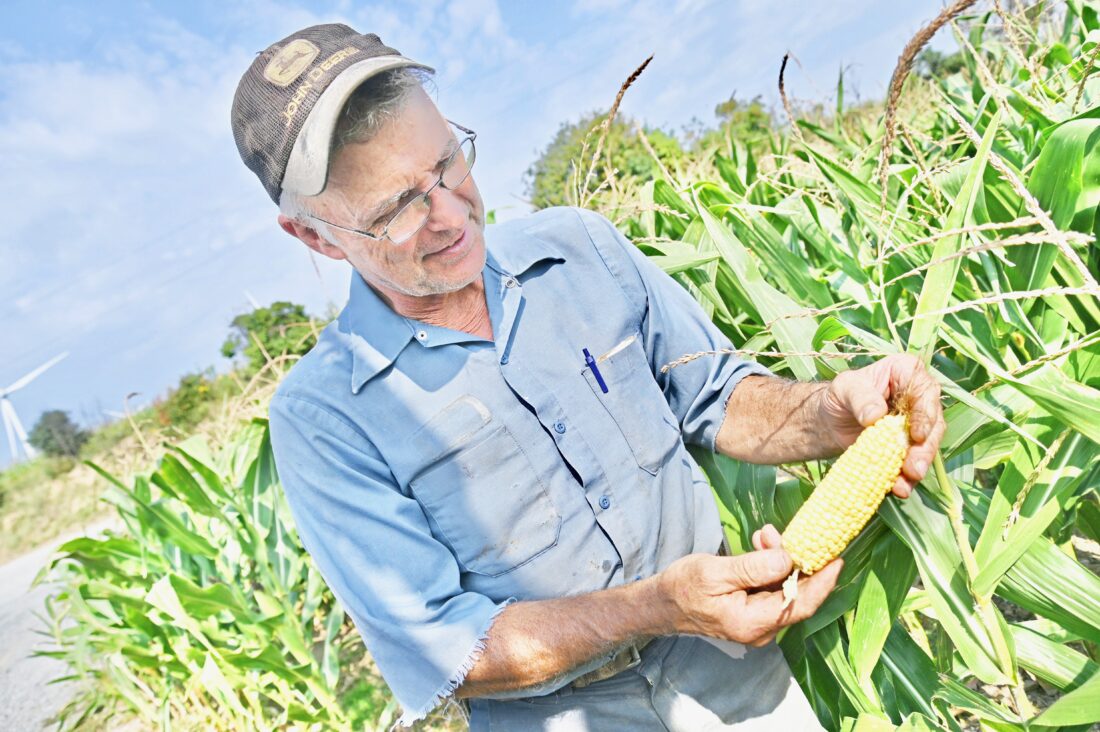 Can’t beat the heat: Drought conditions impact local crop yield | News ...